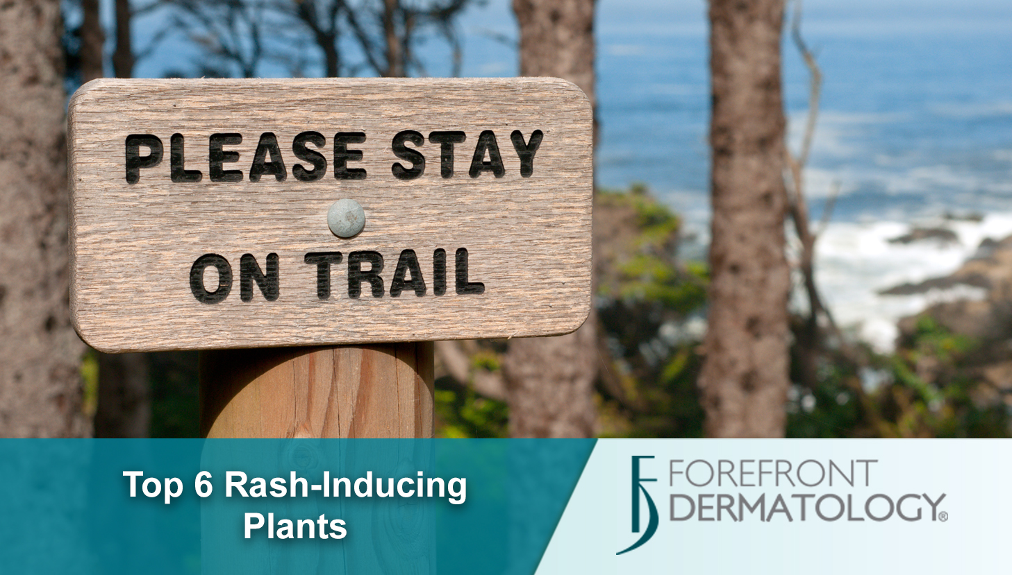 Top 6 Rash-inducing Plants | Premier Dermatology